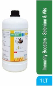 Animal Nutrition - Intercorp Biotech